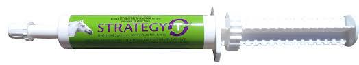 Virbac Strategy -T Wormer | Broad Spectrum Wormer for Horses – Horse ...