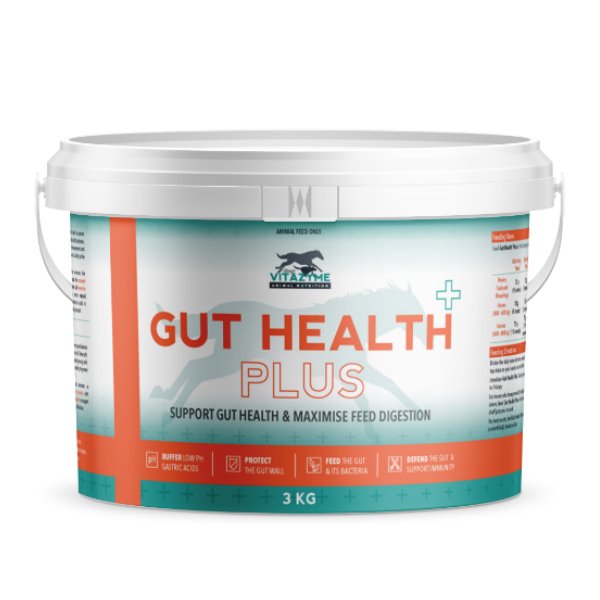 Vitazyme Gut Health Plus – Horse Supplements Direct
